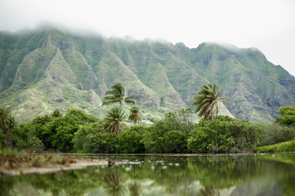 Taxă turistică și în Hawaii - YachtExpert